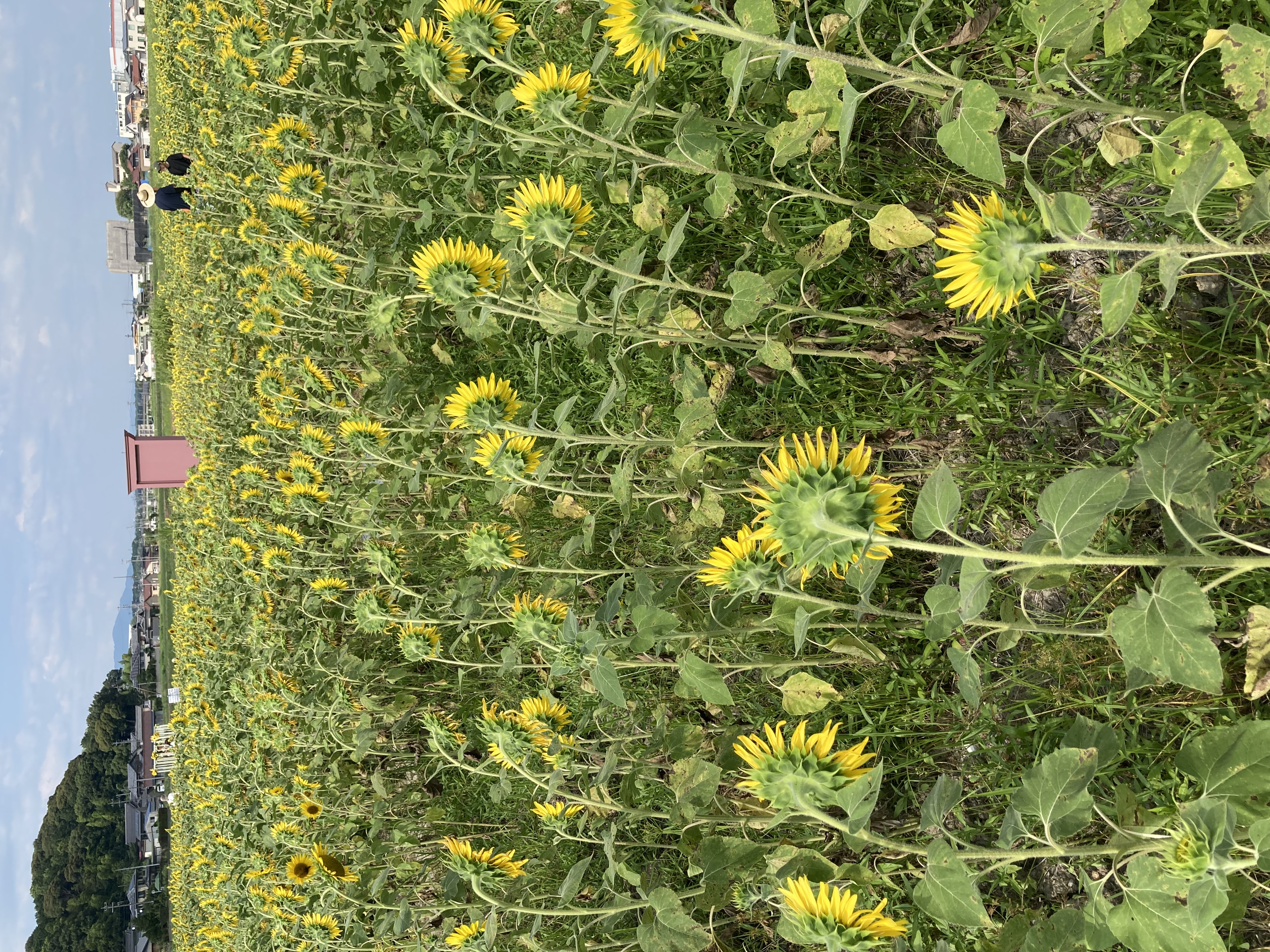 偶然の出会いを必然の機会に - 加藤たかし（カトウタカシ） ｜ 選挙ドットコム