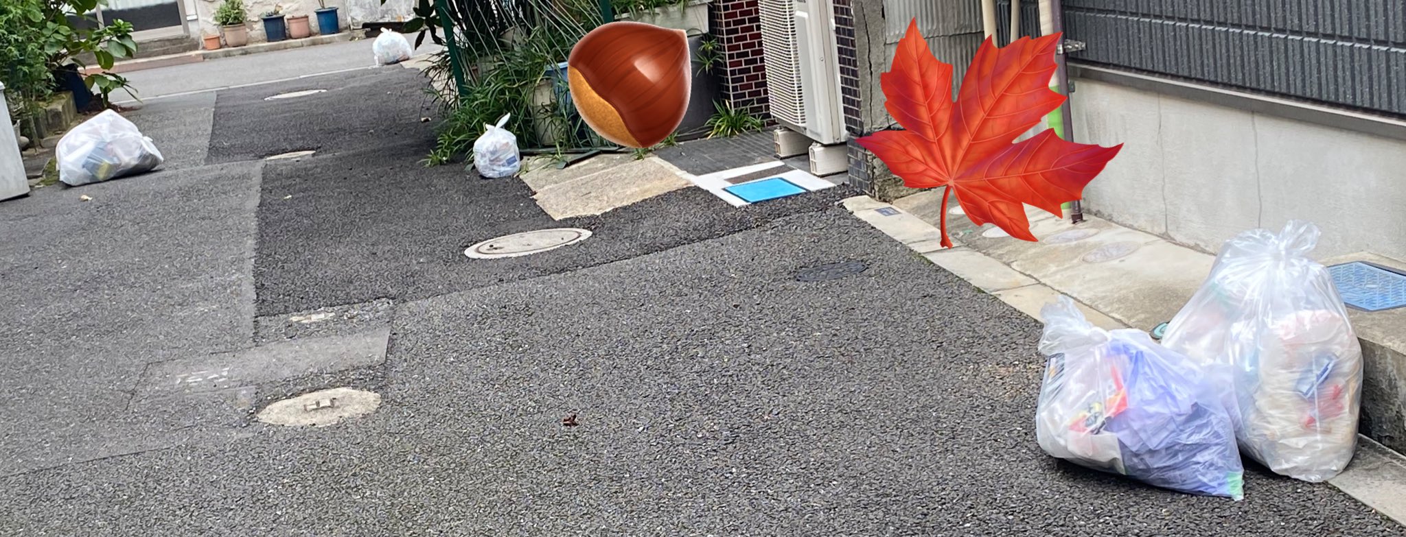 ゴミは戸別収集 - ふうさわ純子（フウサワジュンコ） ｜ 選挙ドットコム