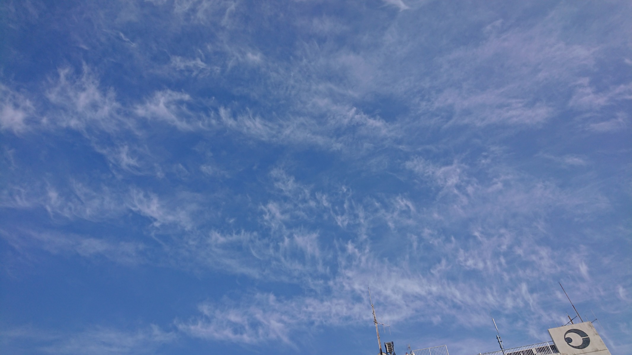 桜が満開です。マスクを外しましょう。 - 山本あきこ（ヤマモトアキコ） ｜ 選挙ドットコム