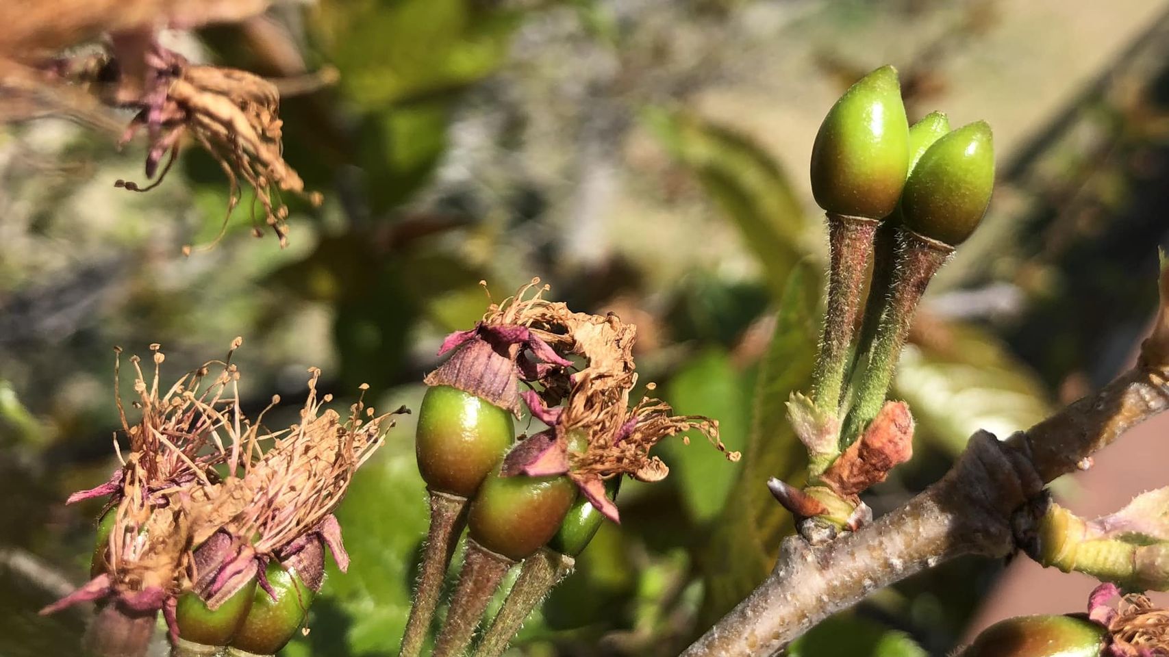 【猪名川町新年度スタート ／いながわ元気】組織の活性化 人事異動 - 岡本のぶじ（オカモトノブジ） ｜ 選挙ドットコム