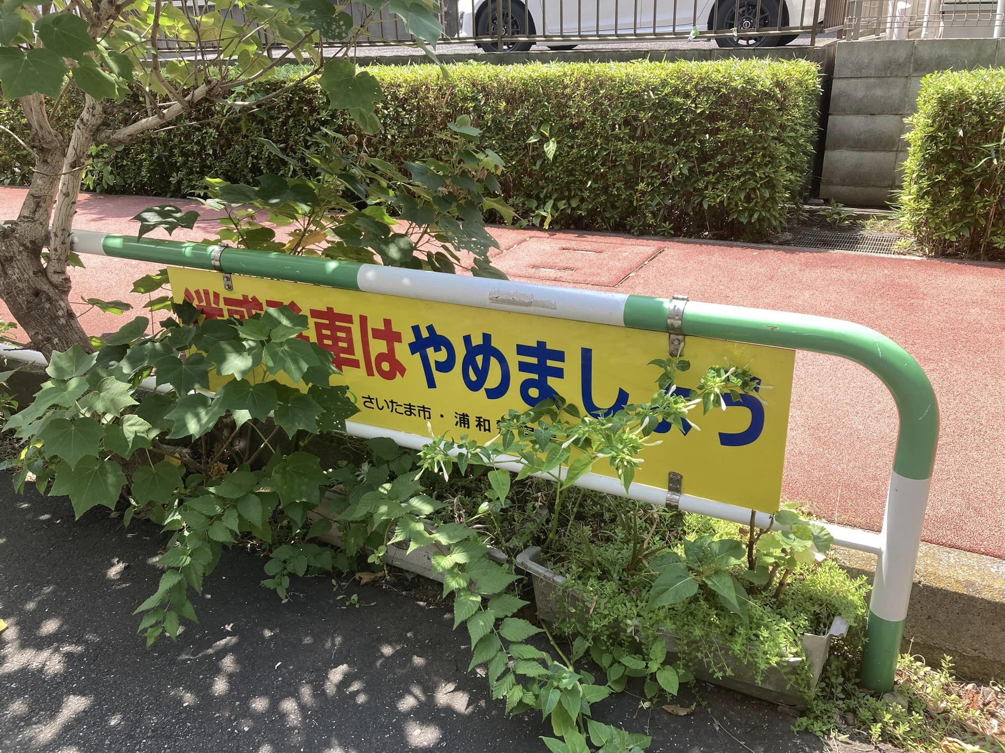 現場で気づくこと【佐藤まなみ新人議員日誌】 - 佐藤まなみ（サトウマナミ） ｜ 選挙ドットコム