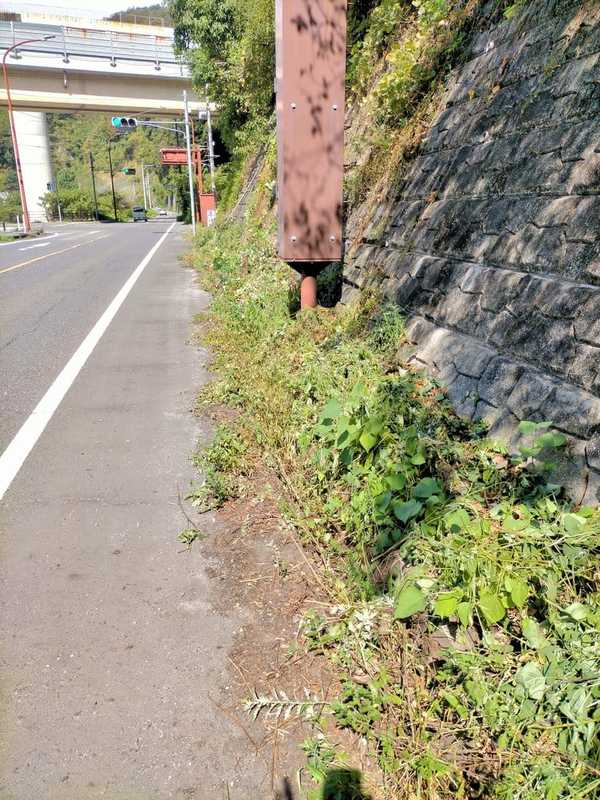 油見トンネル西口〈山間部方面〉出たところ路肩まで草木が茂っており人、バイクなどの通行が危険なの... - 豊川和也（トヨカワカズヤ） ｜ 選挙 ...