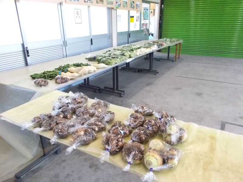 安城市 今朝のふれあい朝市。 - 石川健一（イシカワケンイチ） ｜ 選挙ドットコム