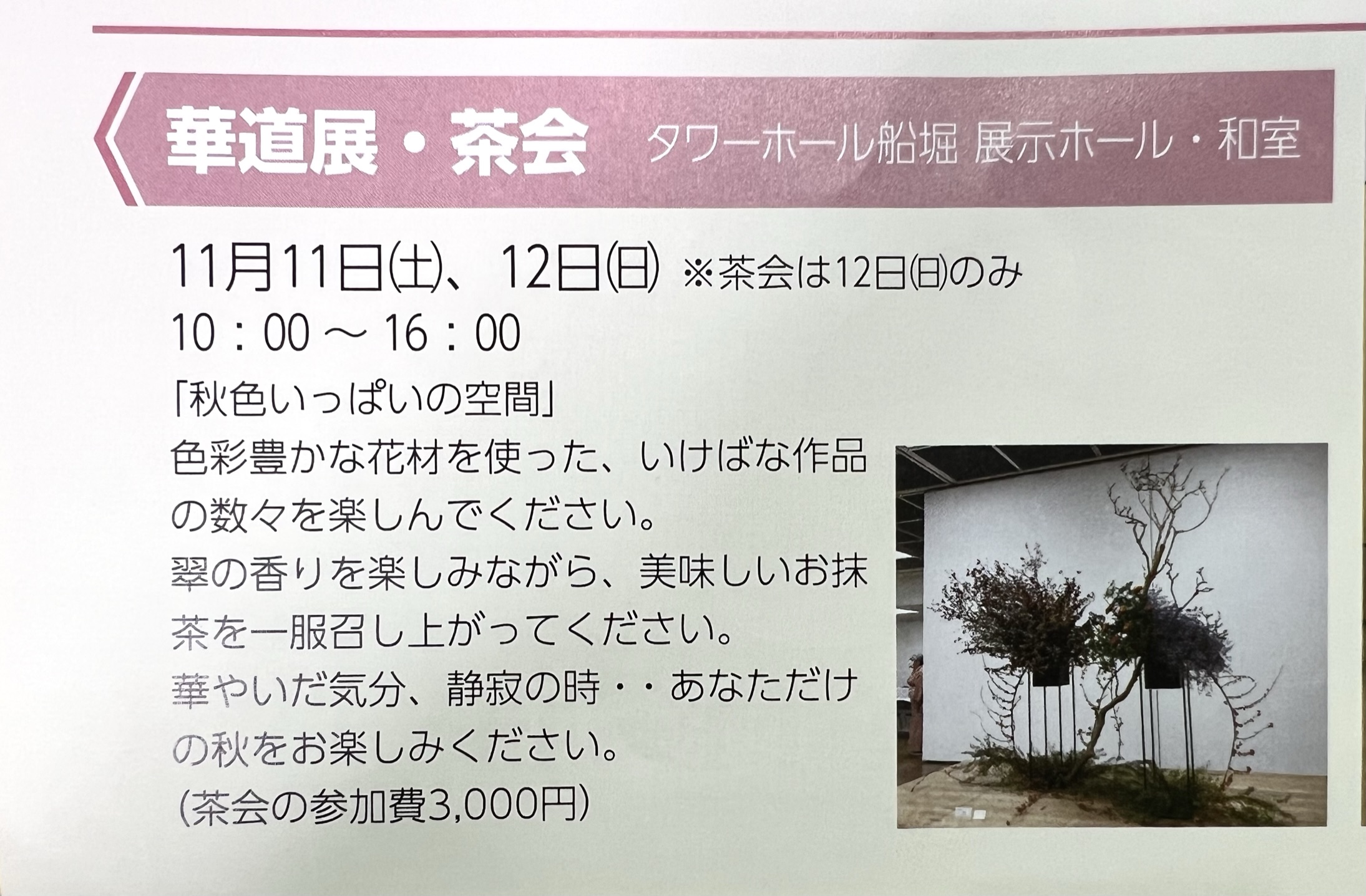 第71回江戸川区文化祭 華道展（いけばな展） - 金井たかし（カナイタカシ） ｜ 選挙ドットコム