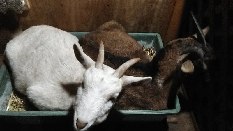 寒い朝ですね。 - ひじ英治（ヒジエイジ） ｜ 選挙ドットコム