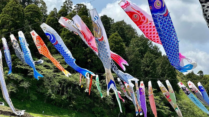 いきいき山田鯉のぼりまつりに家族で行ってきました🎏みなさんこんばんは。 - かとう裕太（カトウユウタ） ｜ 選挙ドットコム