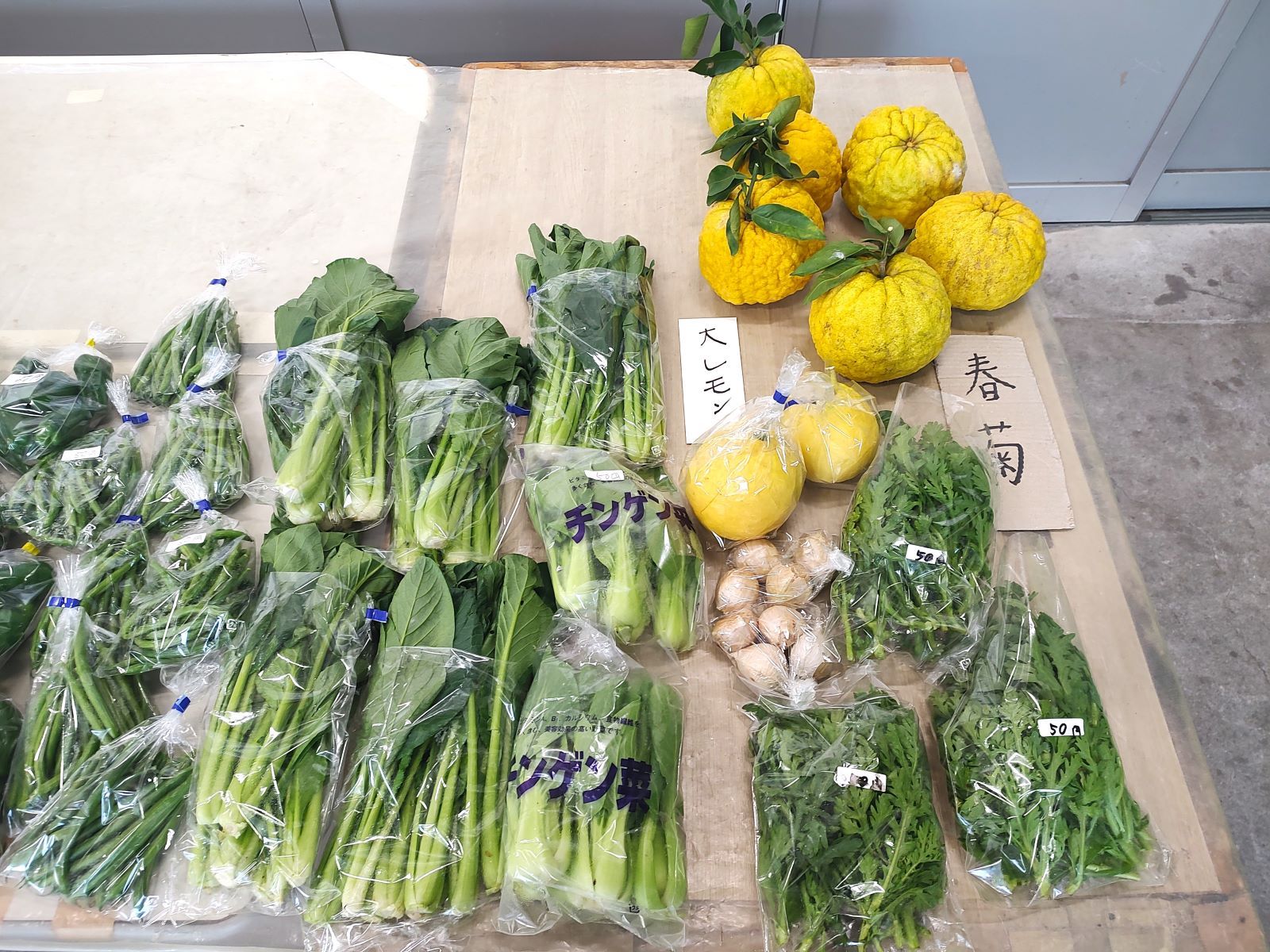 安城市 今朝のふれあい朝市 - 石川健一（イシカワケンイチ） ｜ 選挙ドットコム