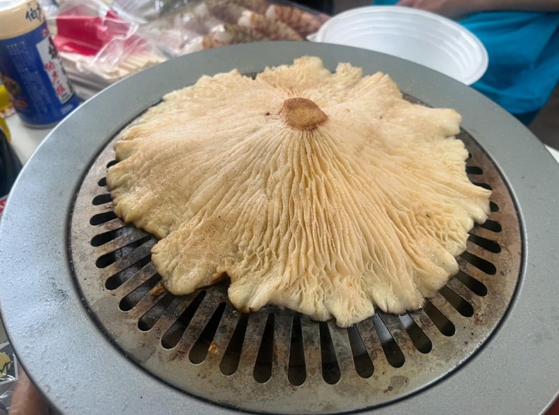 冬のバーベキュー再び、寒い中での超ビックサイズの小平産椎茸と共に。 - 松岡あつし（マツオカアツシ） ｜ 選挙ドットコム