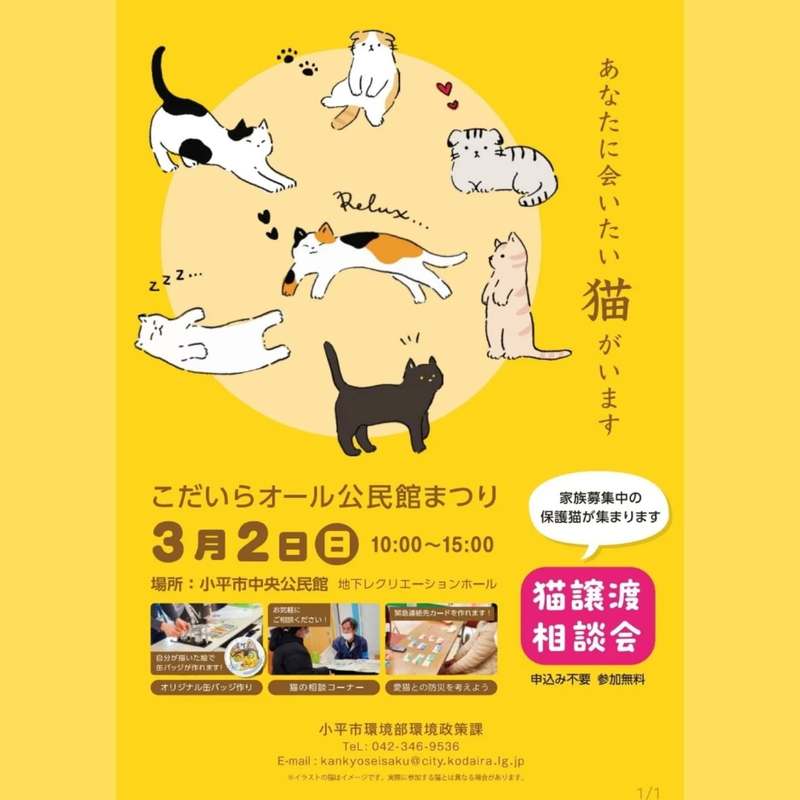 【猫の譲渡相談会・ペット問題セミナー開催】市による動物との共生を目指すまちづくりに関するイベン... - 石津はるか（イシヅハルカ） ｜ 選挙ドットコム | Cheriee NEWS
