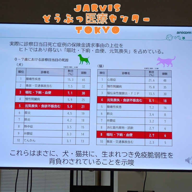 『JARVISどうぶつ医療センターTokyo』内覧会に行ってまいりました - 岡本ゆうこ（オカモトユウコ） ｜ 選挙ドットコム