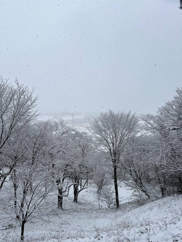 年末年始は妻の実家へ。 - 重黒木優平（ジュウクロキユウヘイ） ｜ 選挙ドットコム
