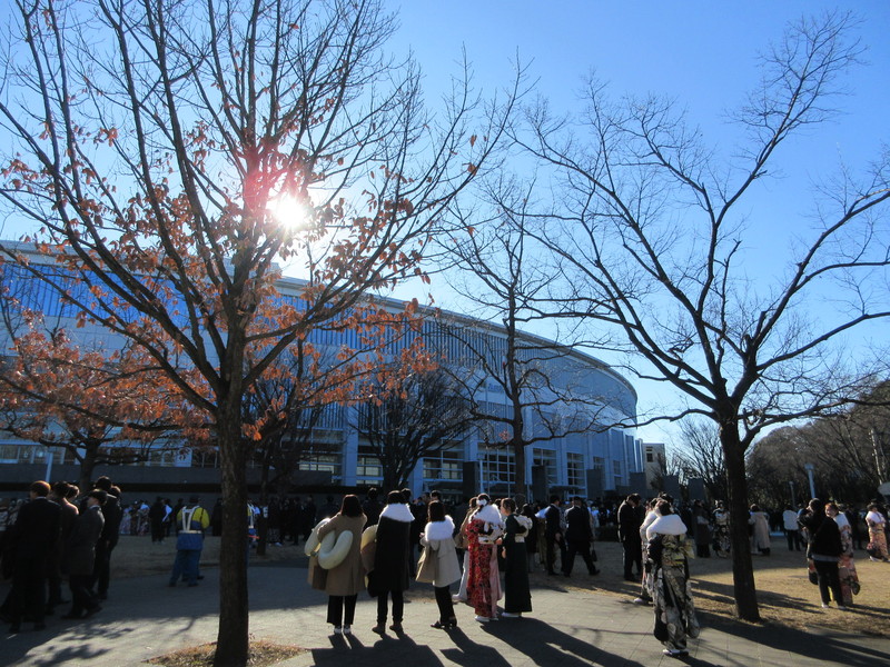 【松戸市二十歳の成人式】1月12日(月)は、暦上の成人の日。 - しぎはらまい（シギハラマイ） ｜ 選挙ドットコム