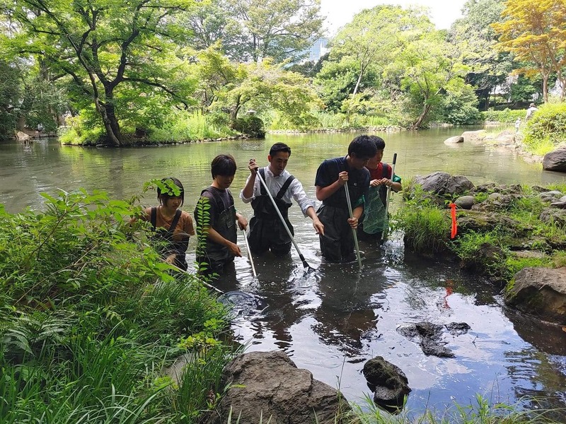 【有栖川公園の池の中入ったよ！】9月に実施した有栖川宮記念公園の生物調査を見学したところ、、、... - 玉木まこと（タマキマコト） ｜ 選挙 ...