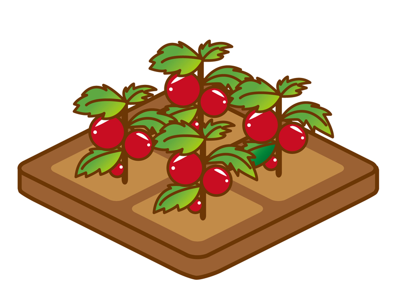 【都筑区】アクアポニックス - とみおか政幸（トミオカマサユキ） ｜ 選挙ドットコム