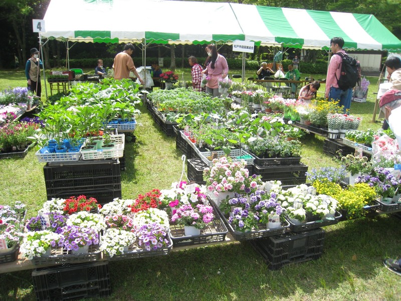 4/29(土)緑と花のフェスティバル2023でした。 - しぎはらまい（シギハラマイ） ｜ 選挙ドットコム
